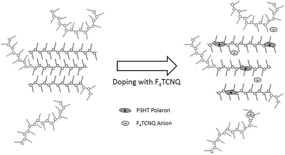 Structure and Function of Semiconducting Polymers | UCLA